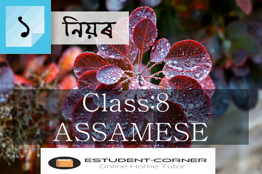 Class 8 Assamese Questions class-8-assamese-questions