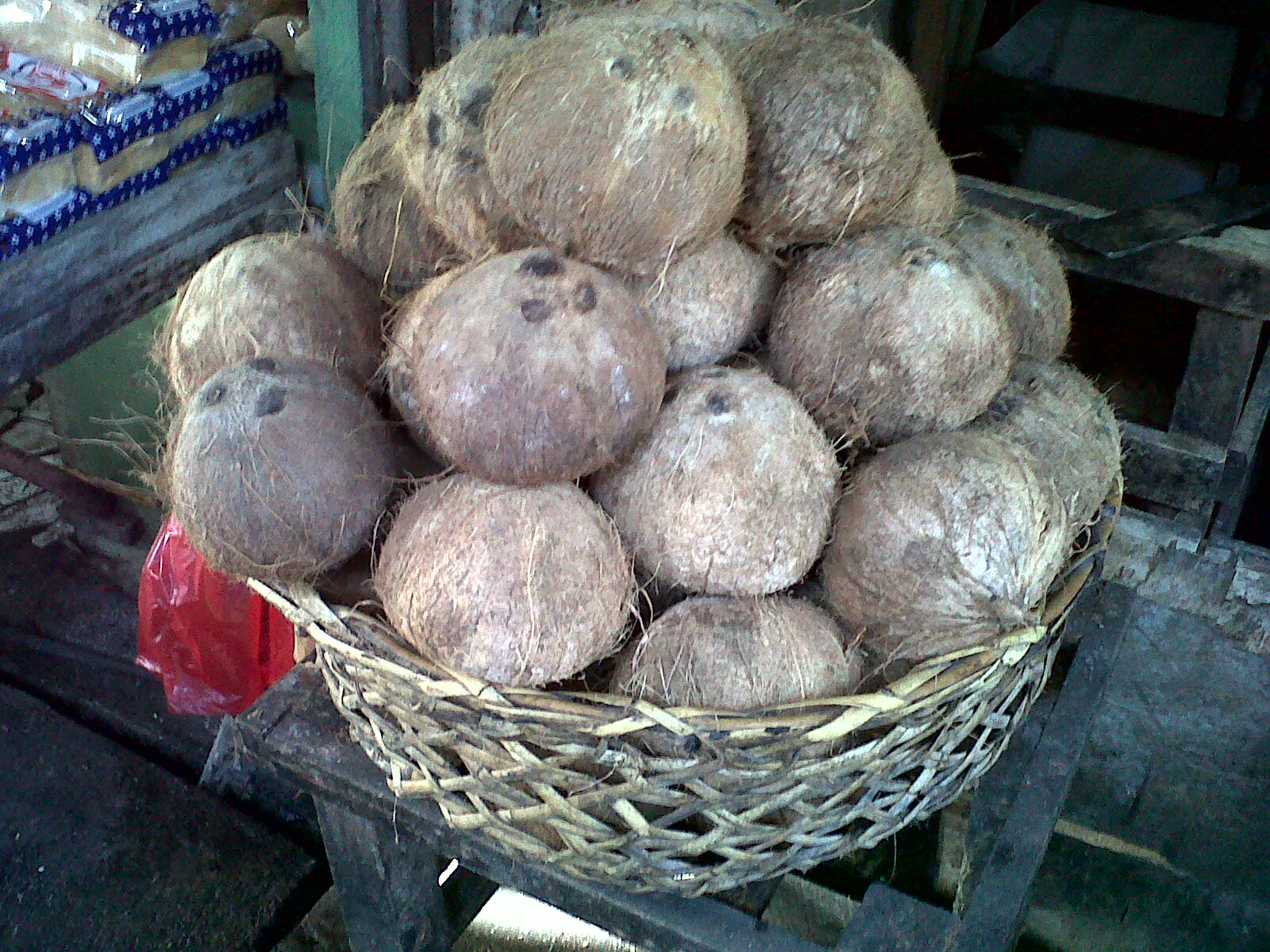 Finding the real locals: Bankerohan Public Market | Hello from Davao.