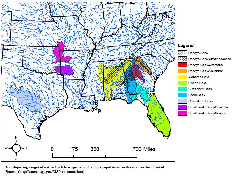Fishing In Real Life: The Plight of the Guadalupe Bass