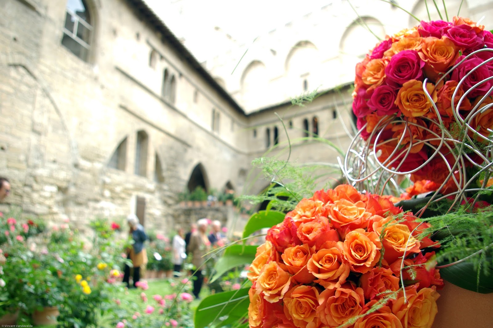 The Provence Post: Avignon Rose Festival is May 5 to 8