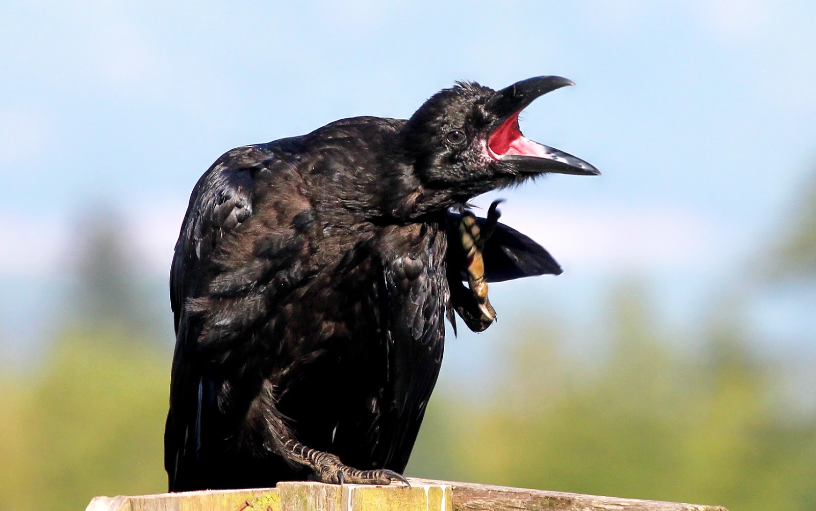 PhotoTonyG: July 2013