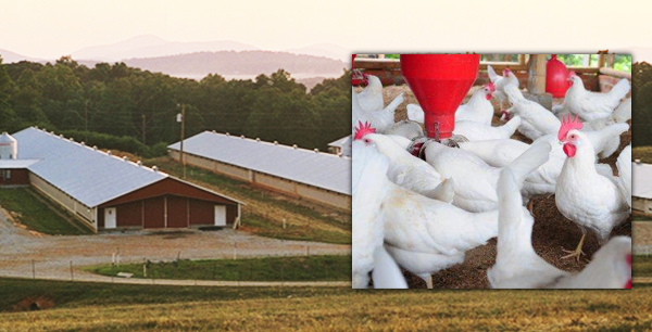 MEC&F Expert Engineers : A local magistrate judge has recommended a ...