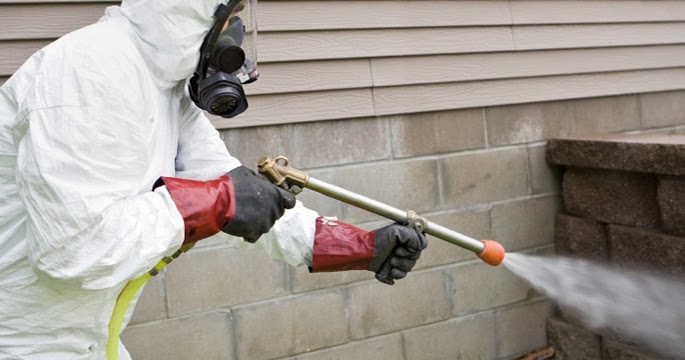 Dunrite - Termite & Pest Control: The Most Effective Termite Control ...