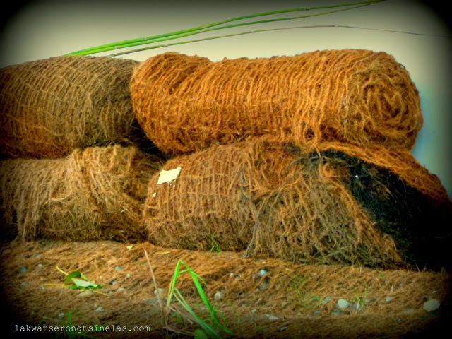 PINAKBET FARM - Lakwatserong Tsinelas