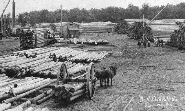 Draft Horse in America – 20 Historical Photographs That Illustrate ...