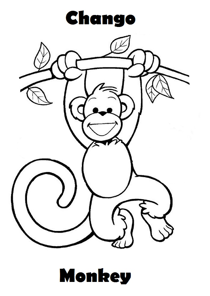 Imágen de chango para colorear - Imagui