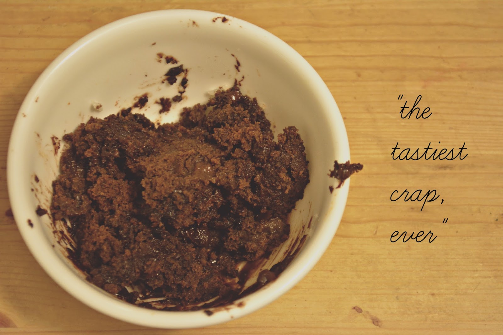 tasty science: "the tastiest crap ever" aka chocolate pudding cake