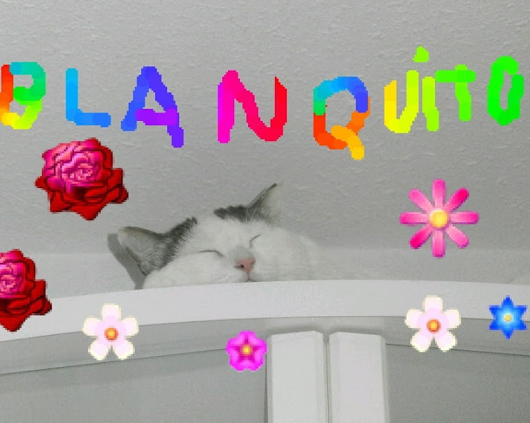 María y Blanquito,su mascota: Juego sobre Blanquito