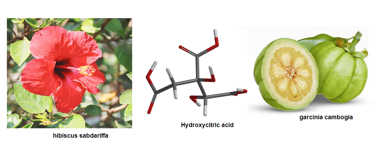 Modern Medicines: Hydroxycitrate is Reported to Prevent Kidney Stones ...