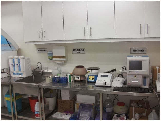 Health CUBE : Bringing Health and Wellness in Greenhills ~ Wazzup ...