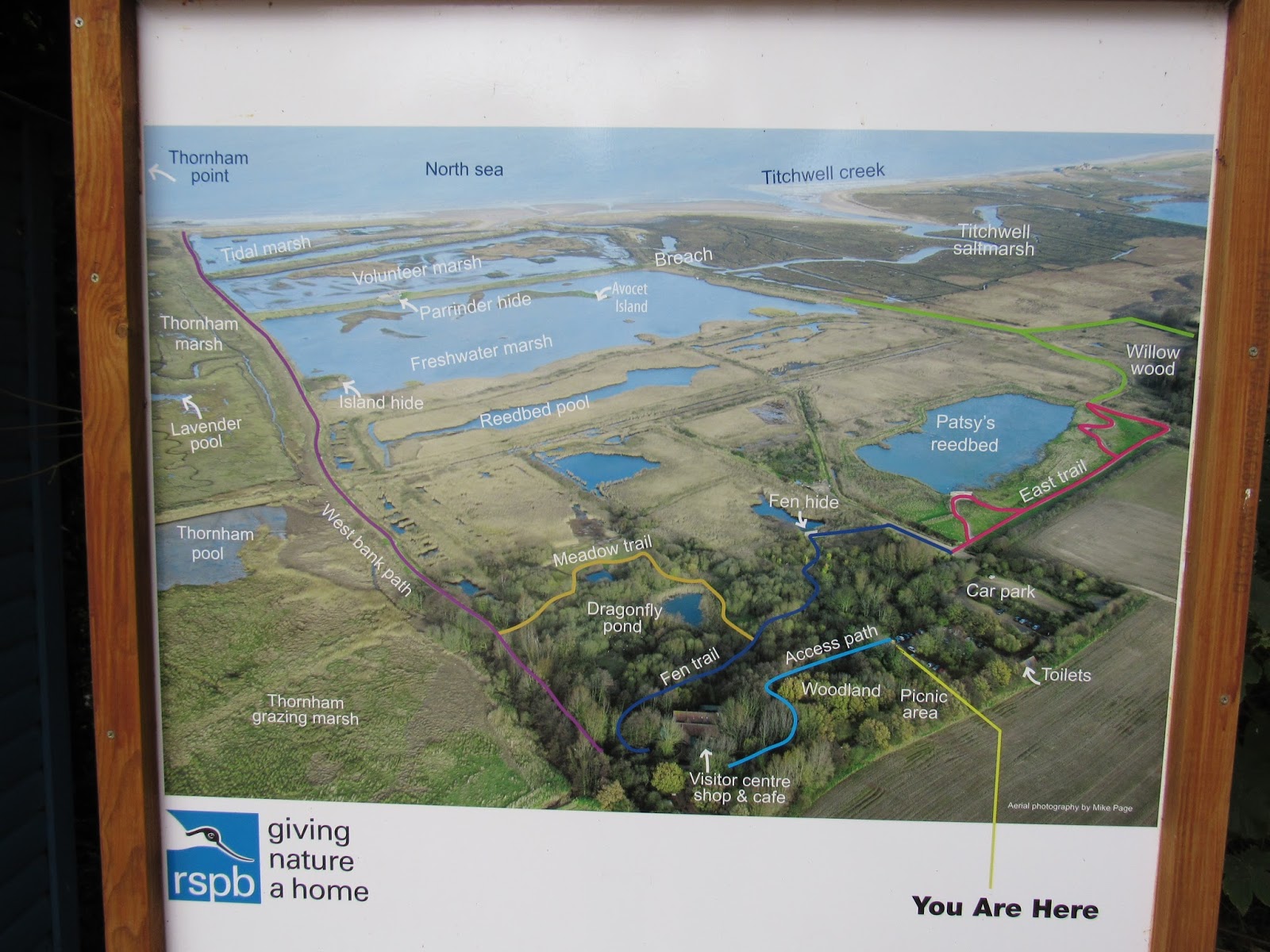 The Wryneck: TITCHWELL MARSH: THE RSPB'S SHOWCASE NORFOLK RESERVE NEVER ...