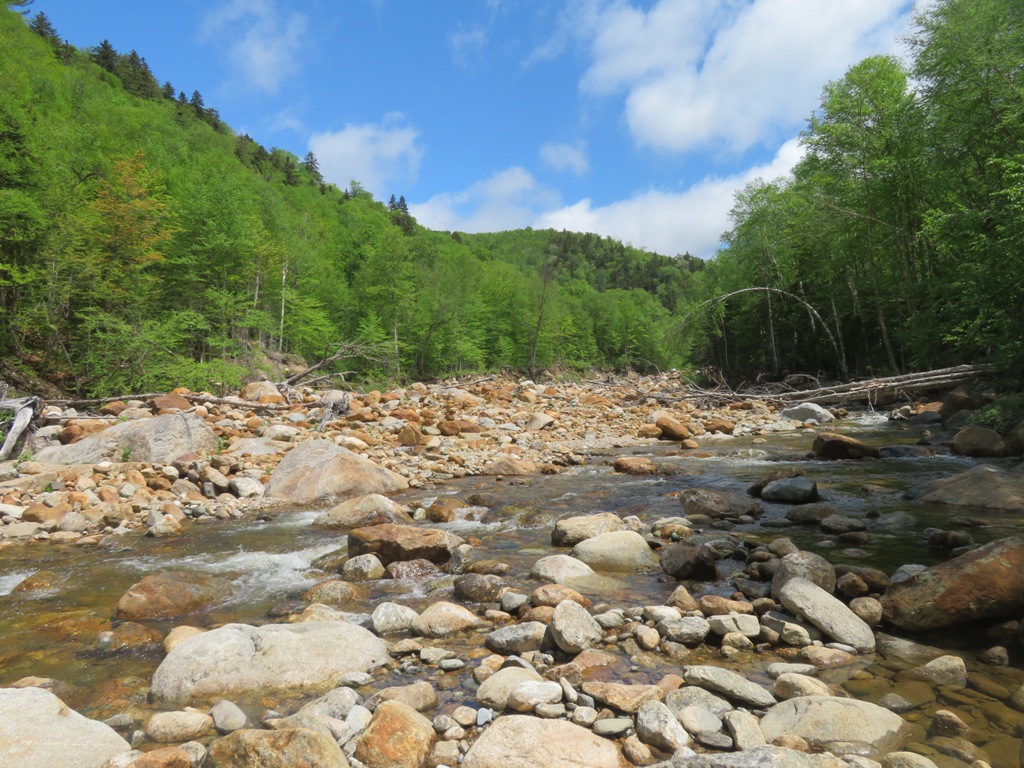 Mountain Wandering: Dry River Trail: 5/27/21