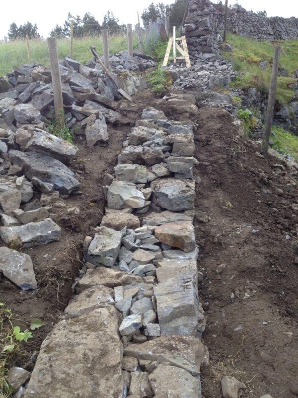 Moor House - Upper Teesdale National Nature Reserve: Rough Sike Wall