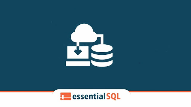 Stored Procedures Unpacked Learn To Code T SQL Stored Procs 94 Off stored-procedures-unpacked-learn-to-code-t-sql-stored-procs-94-off