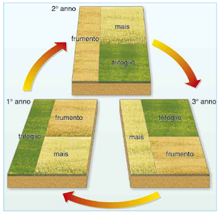 Non solo geografia...: ottobre 2020