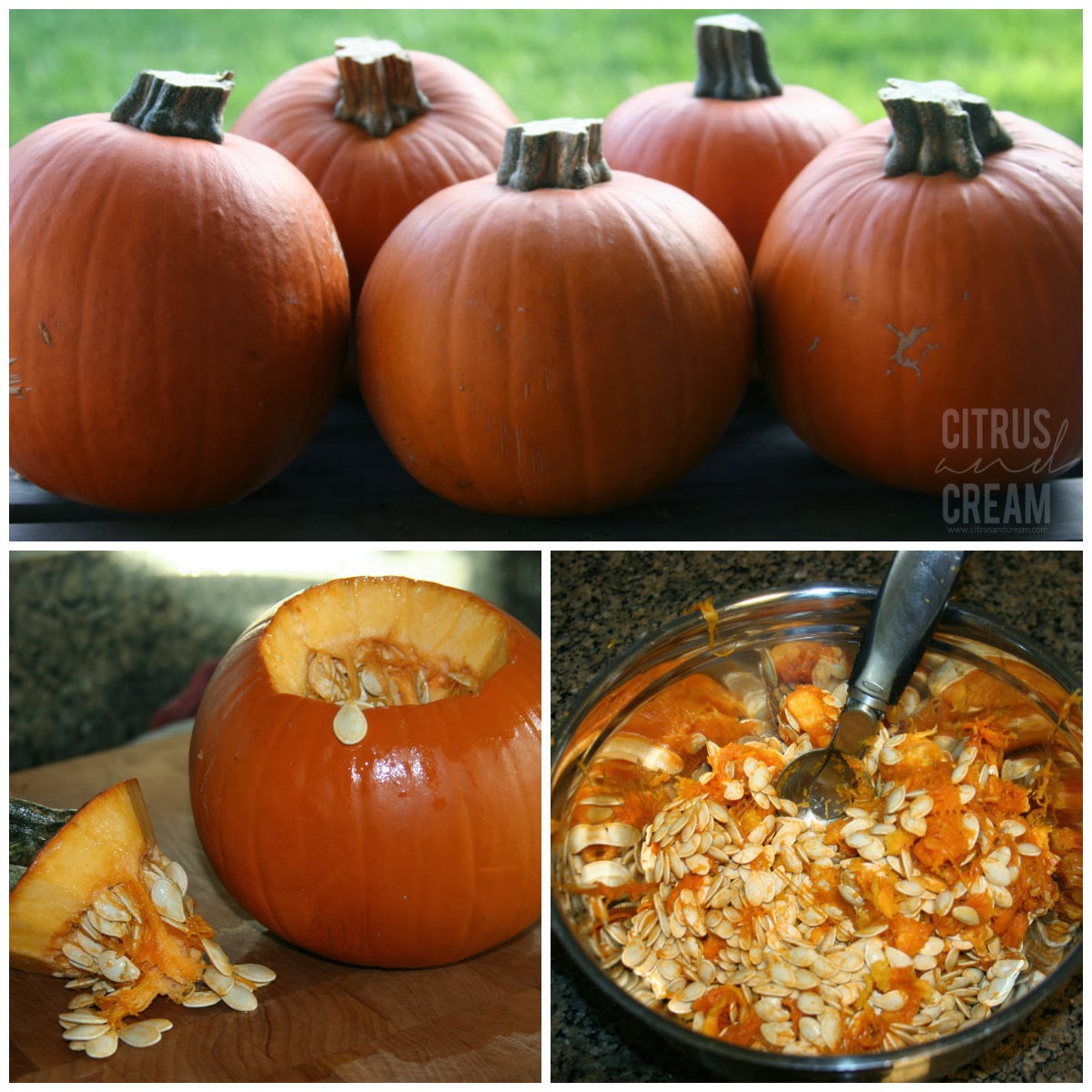 Citrus and Cream: Thanksgiving in a Pumpkin: Baked Pumpkins Filled with ...
