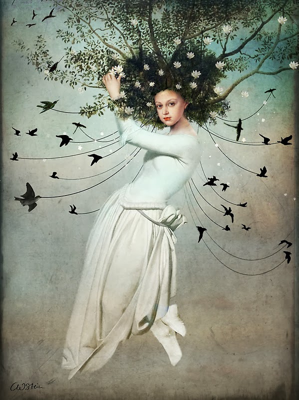 Livros e Inspirações Artísticas: Catrin Welz-Stein