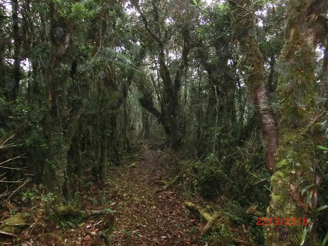 Mt. Napulawan Adventure - Thin Thoughts