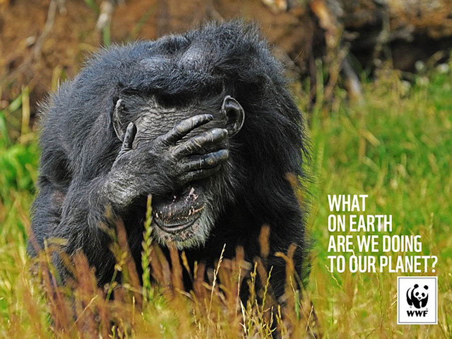 The latest print ad campaign for the WWF (World Wildlife Foundation ...