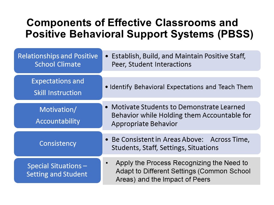 Building Strong Schools to Strengthen Student Outcomes: A Multi-Tiered ...