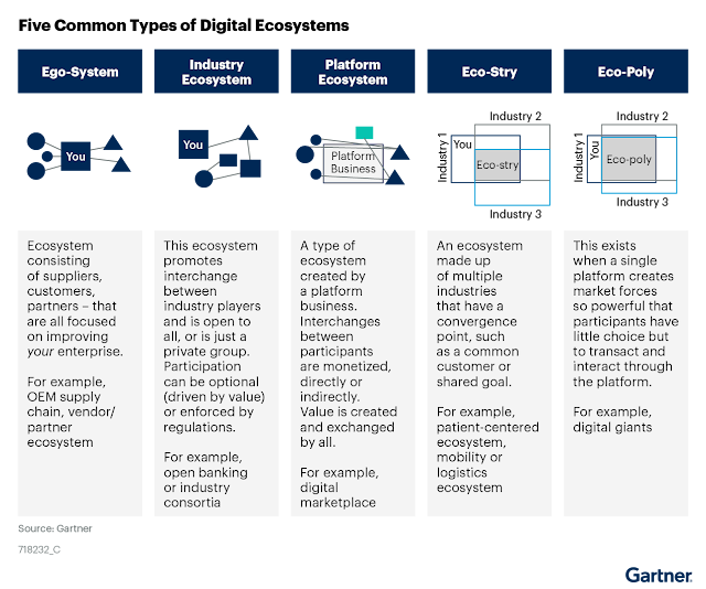 Big Picture and Strategic Insights: Types of Digital Ecosystems