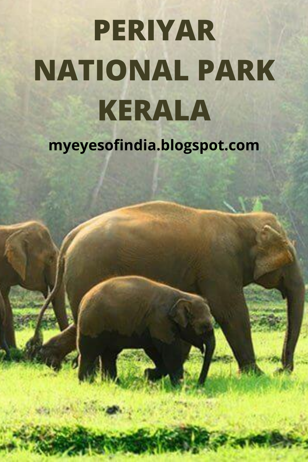 Periyar National Park Kerala | Entry Fees | Timings - My Eyes Of India