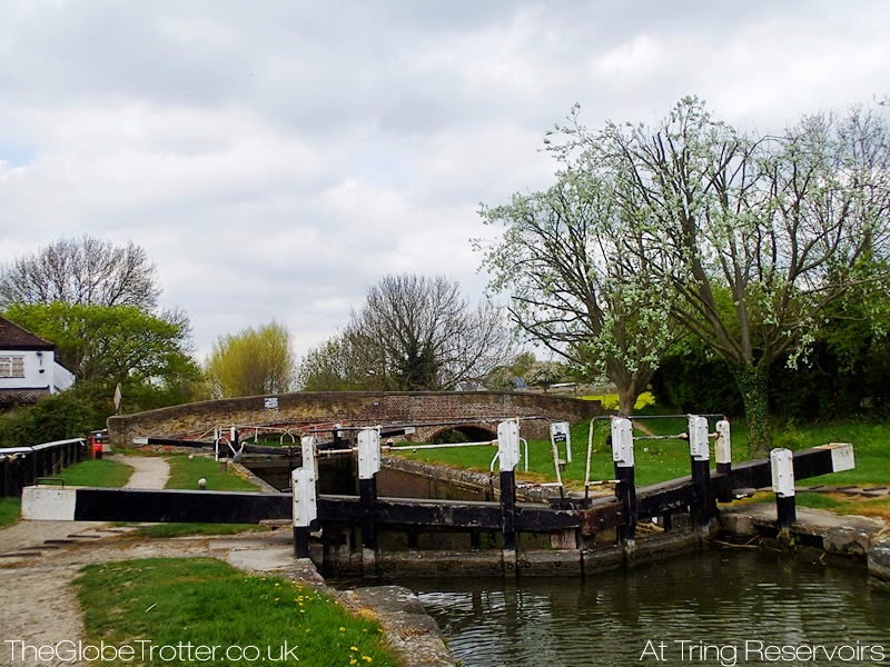 Discovering England: Tring Reservoir Walks - The Globe Trotter