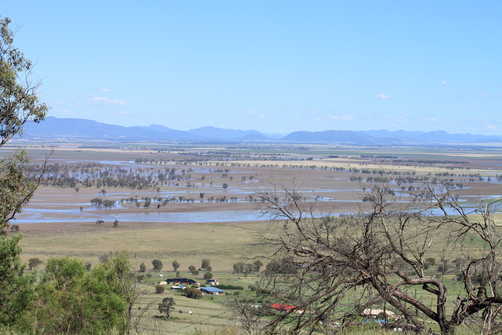 Jodi's Scraphaven: Gunnedah Floods..... again.....