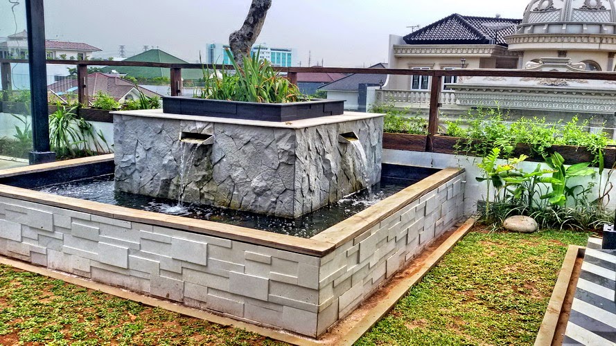 Kolam Ikan Minimalis: Design Kolam Ikan Natural