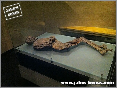 Bog men and strange decomposition : Jake's Bones