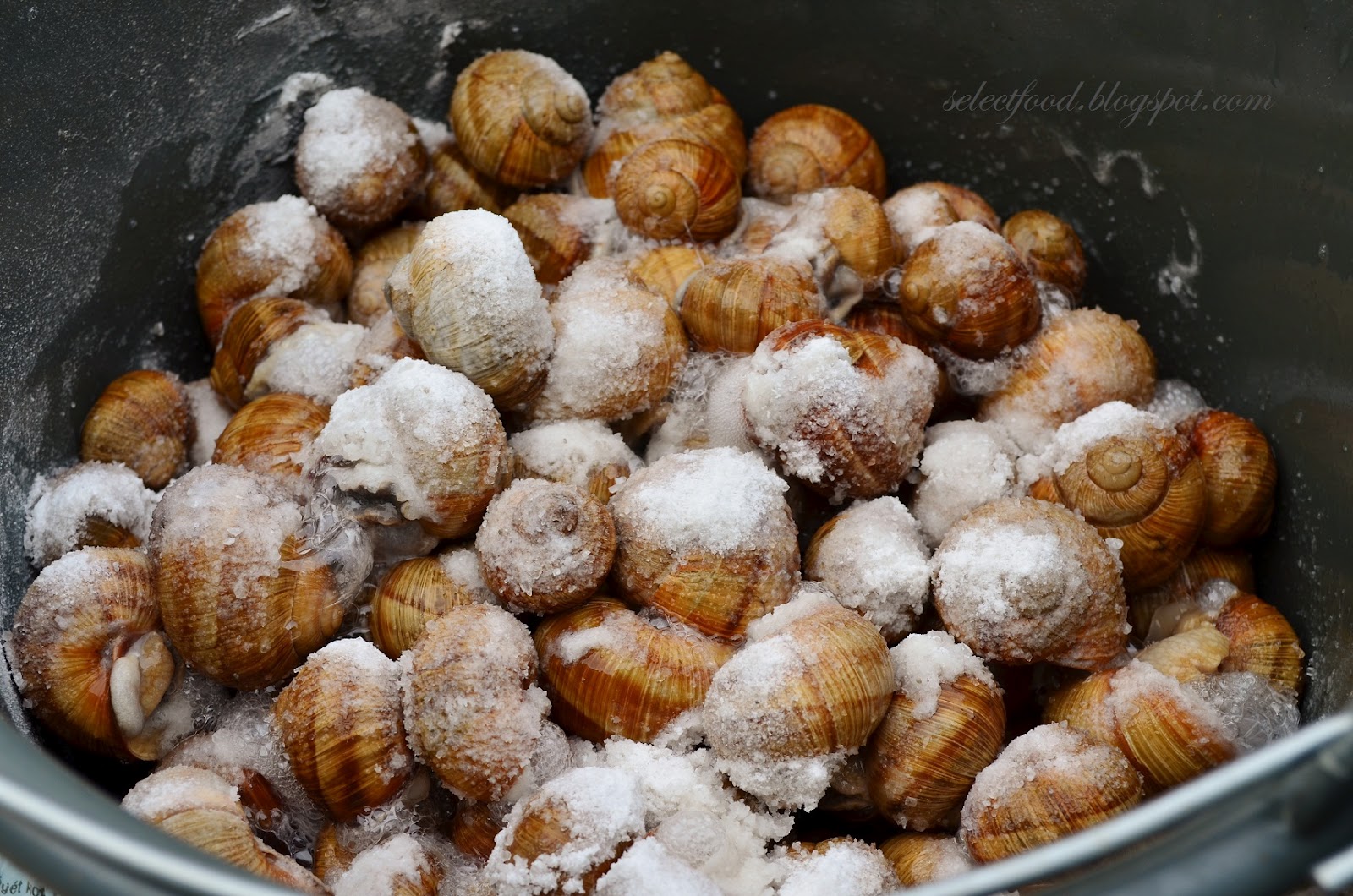 Select food: Csigaragu és az éti csiga előkészítése