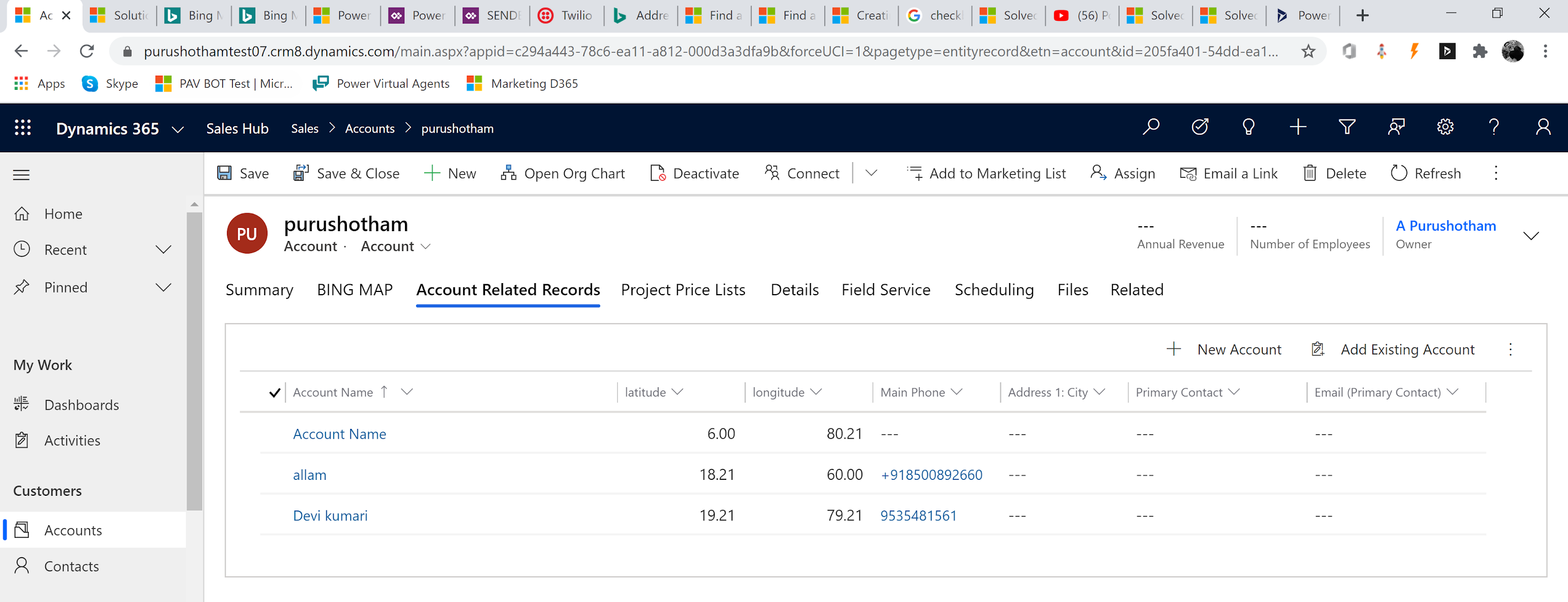 Bing Map Enablement for Address in D365