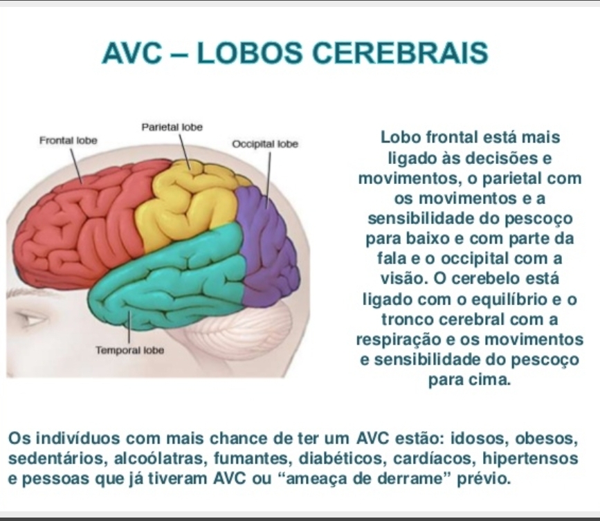 Fonoaudiologia Leandra Falcão: AVC em Lobo Frontal