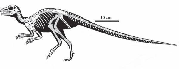 Escenarios prehistóricos: 11/21/10