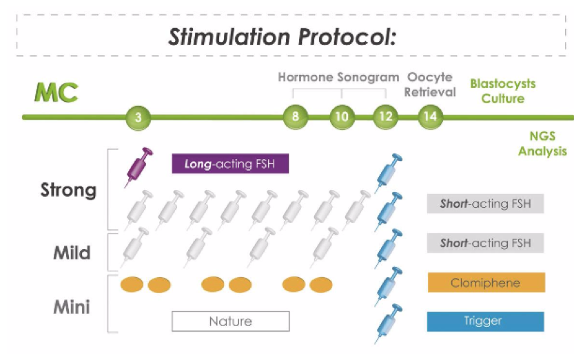 Does the mild stimulation improve embryo euploid rate in diminished ...