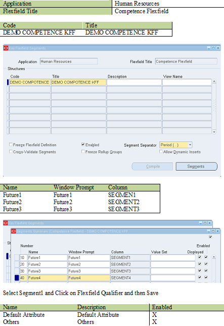 Oracle Applications Oracle Apps Core Hrms Functional Setups