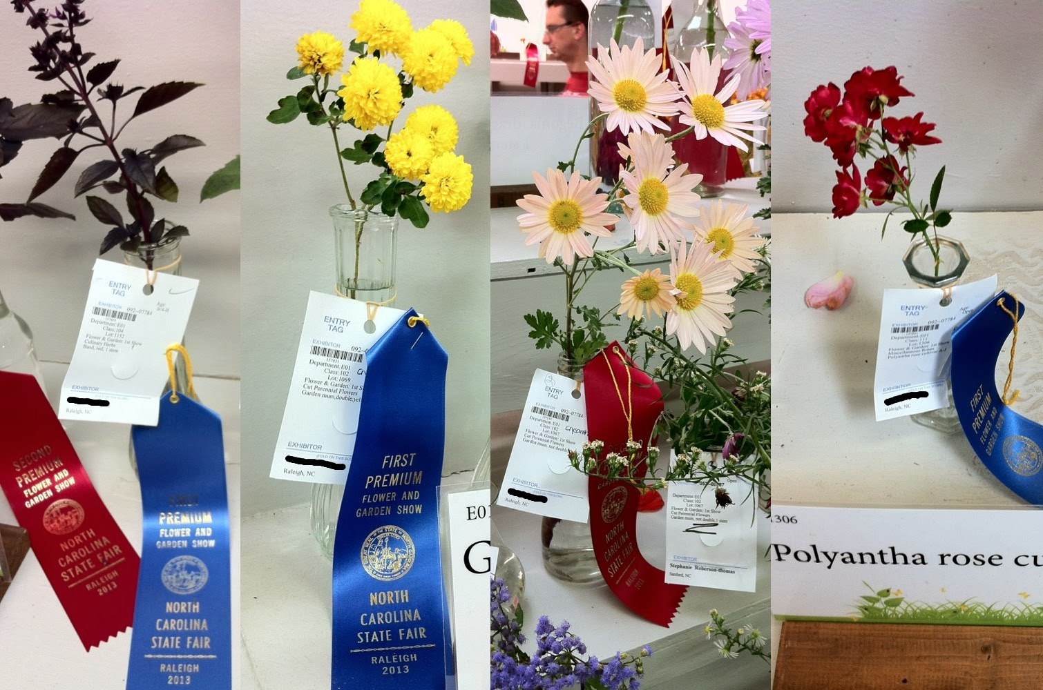 Southern Peony: 2013 State Fair Flower Show Ribbons, No Peonies
