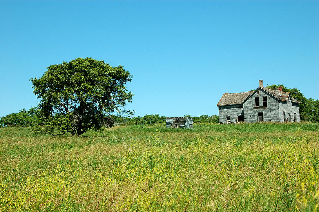 Yukon Rambles: Twisted Roots - Mather, Manitoba