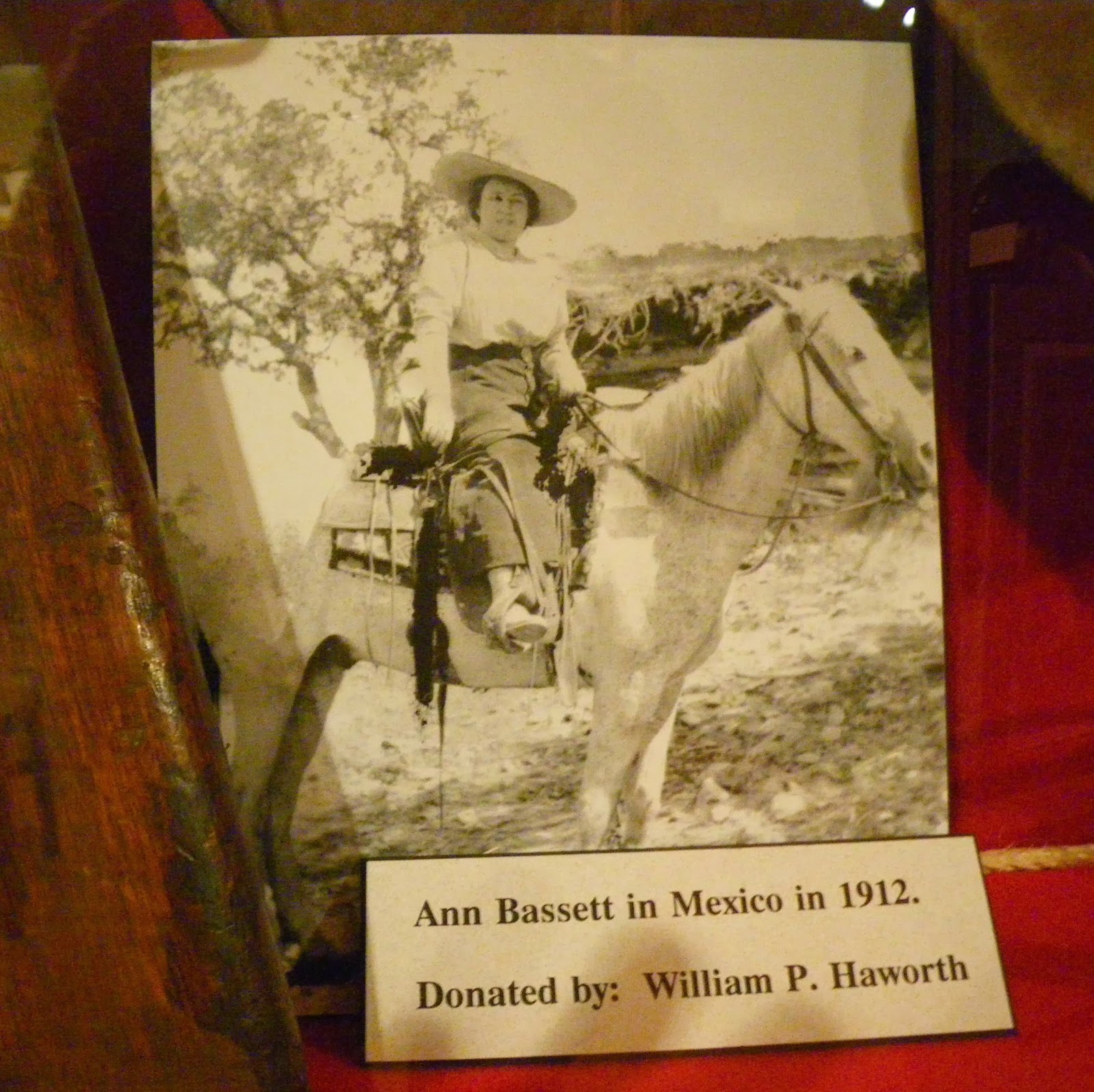 Fly's Picture Place: September 2011