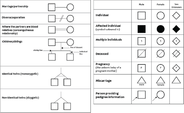Variable Genome: Genetic pedigree symbols and legend