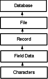 Pengertian Jenjang Data - Bagi Trik