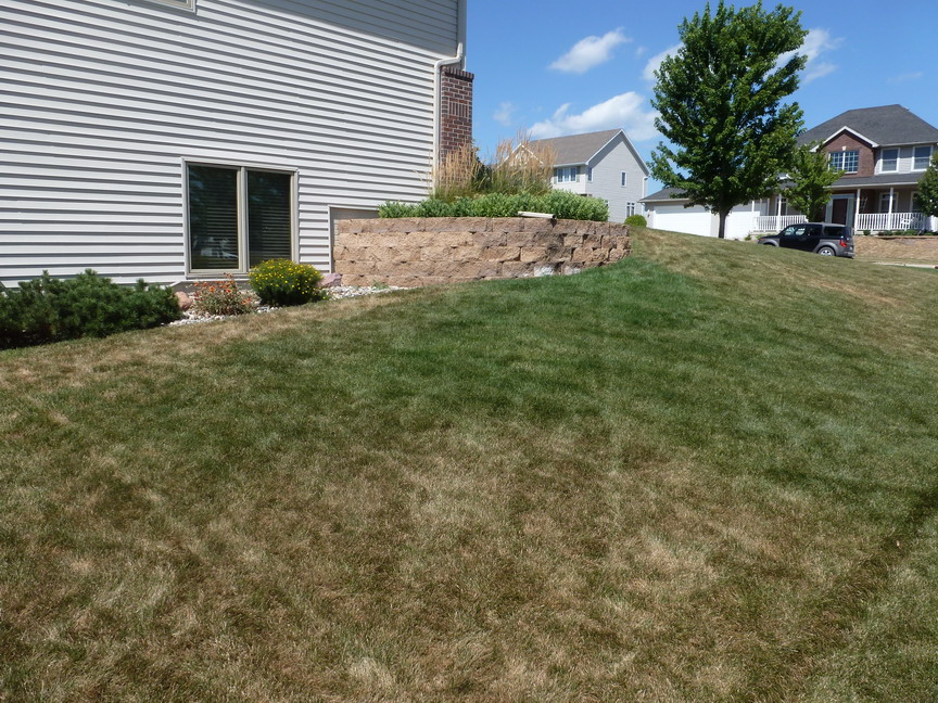 iaTURF: Drought Damaged Lawns Need Help