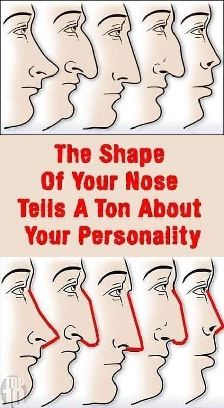 Here Is What the Shape of Your Nose Reveals About Your Personality ...