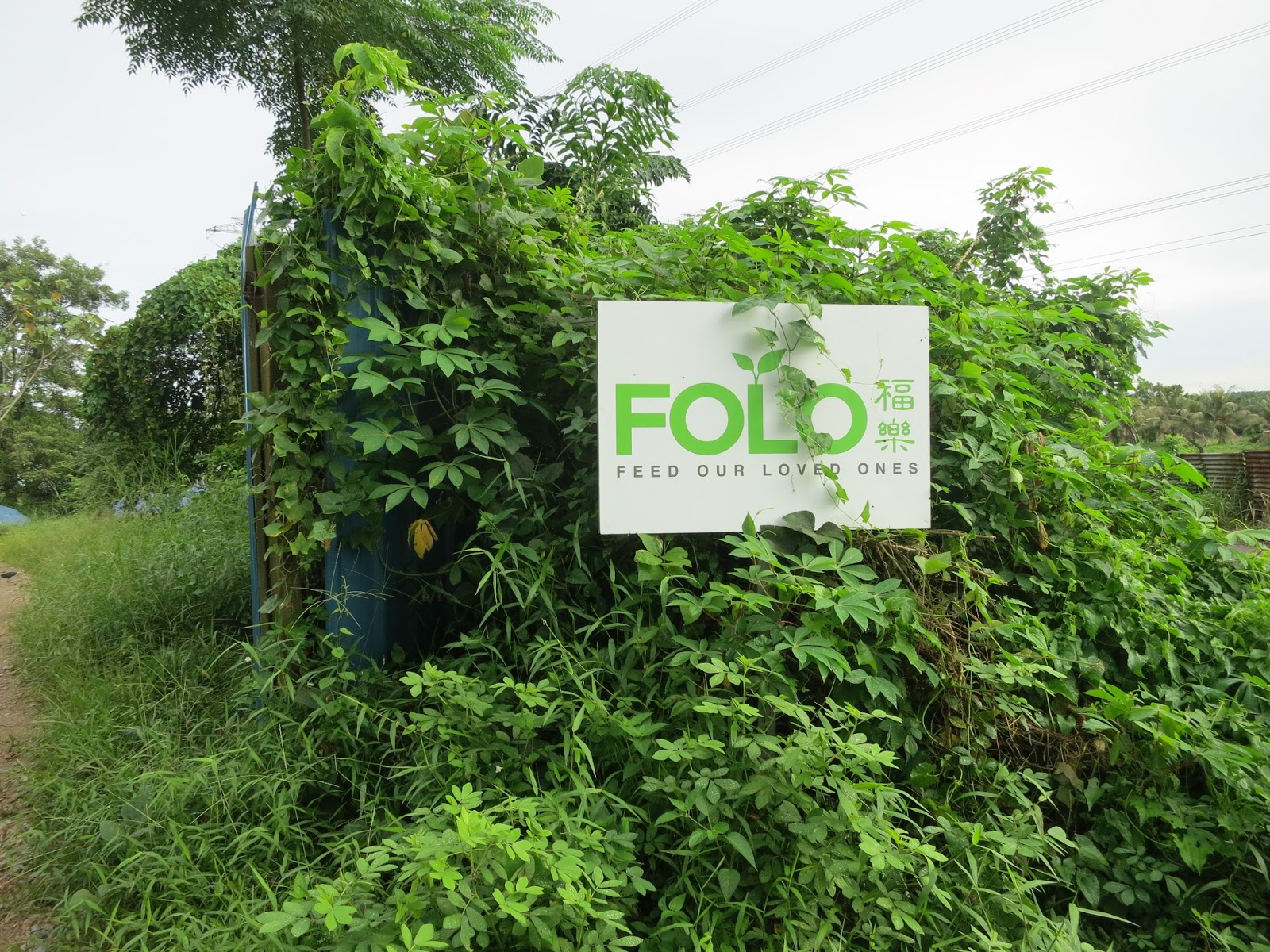 Peggy Loh ~ My Johor Stories: Making a difference at FOLO