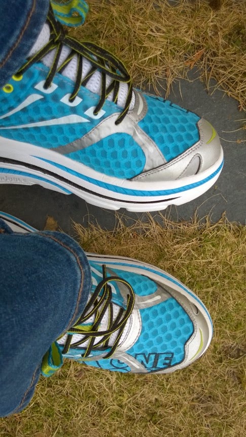 Hverdag - mer eller mindre...: Nye spasersko