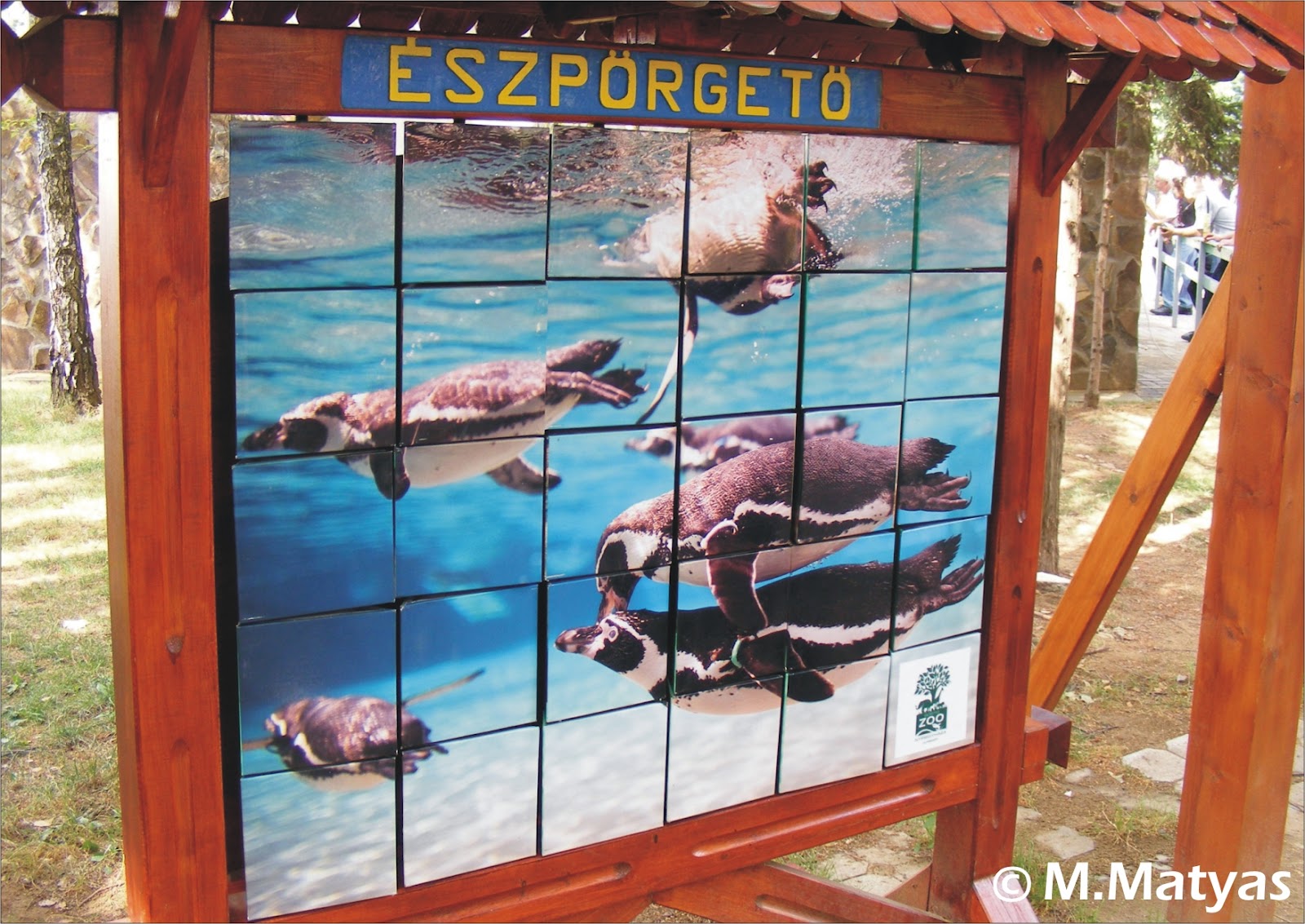 Foto travel: Impresii de călătorie (21) - Sóstó Zoo Nyiregyháza