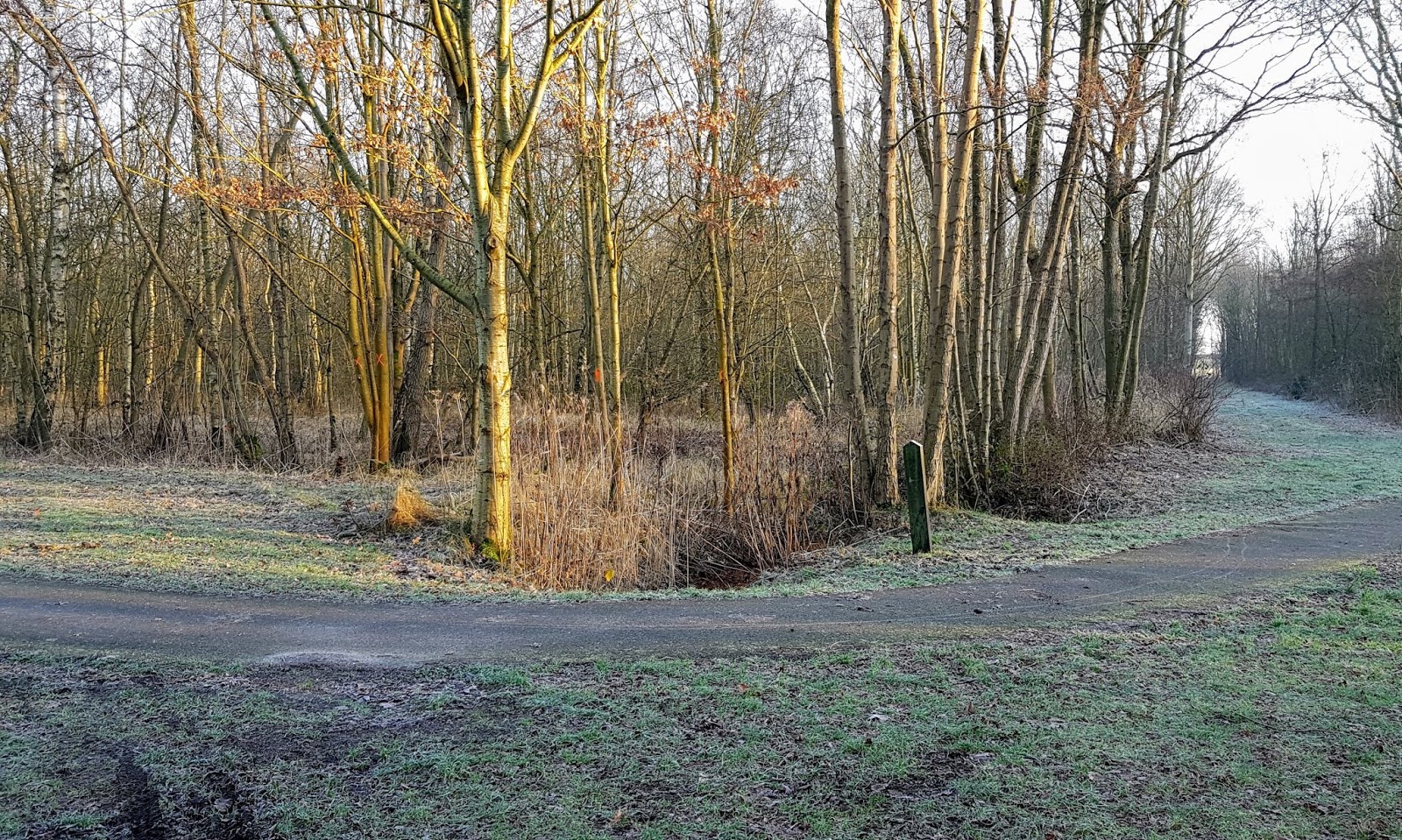 Dijkgatsweide - Breezanddijk op de Afsluitdijk 21 km