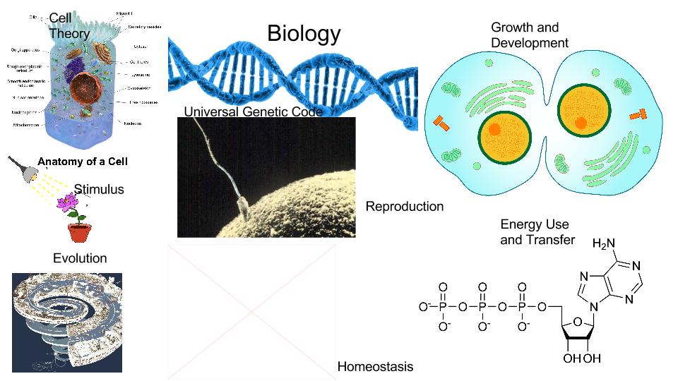 William's Biology Blog: Biology Collage