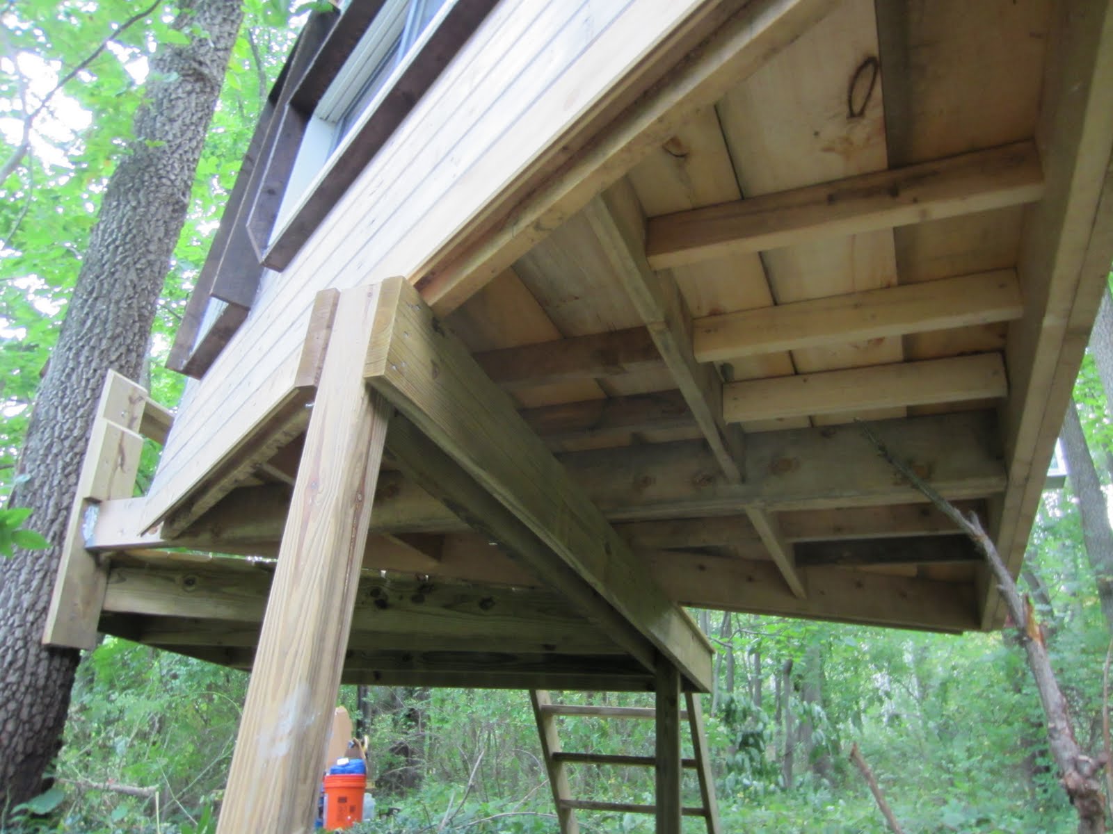 Relaxshacks.com: MORE photos (gallery) of "The Wolfe's Den" Guest ...