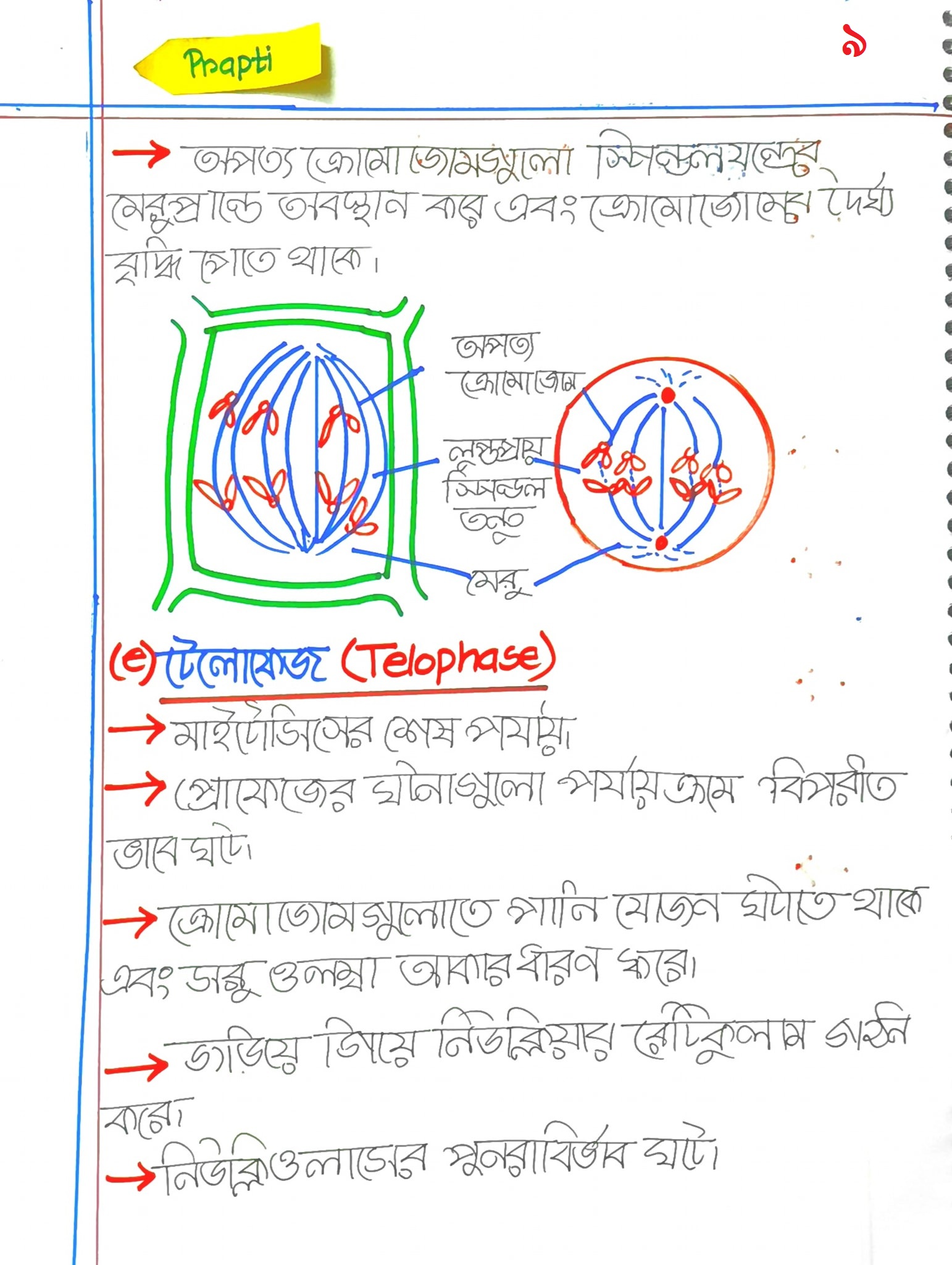SSC Biology Chapter 3 Hand Note || ৯ম ও ১০ম শ্রেণি জীববিজ্ঞান ৩য় অধ্যায়